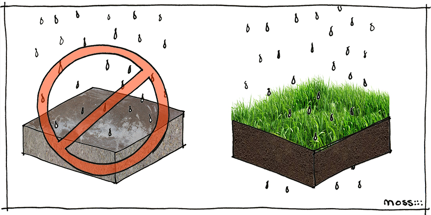 Permeable Surfaces Archives - Moss Architecture