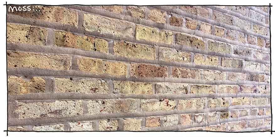 The Brick that Built our City: Chicago Common - Moss Architecture