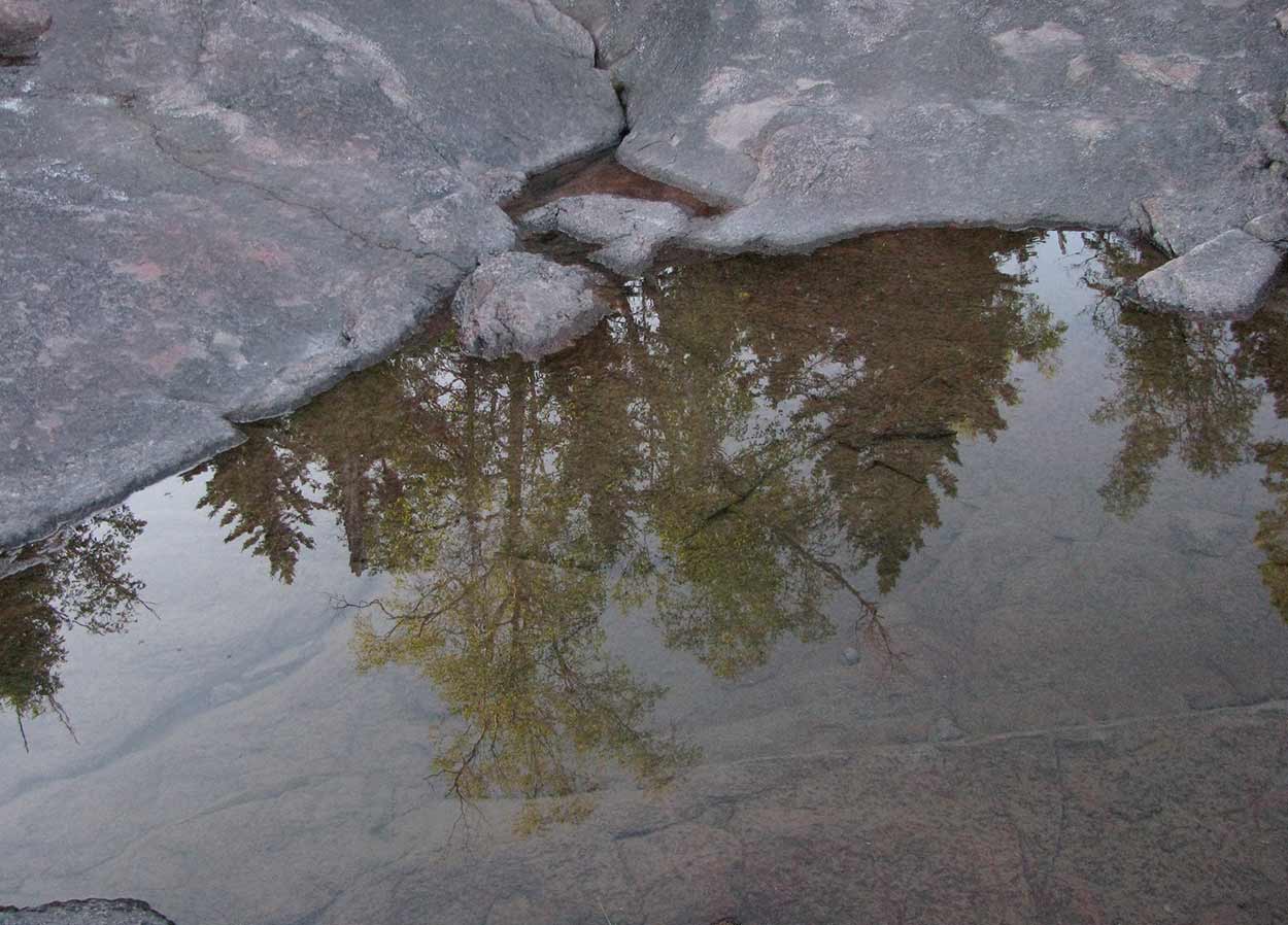 Moss Design Architecture Studio