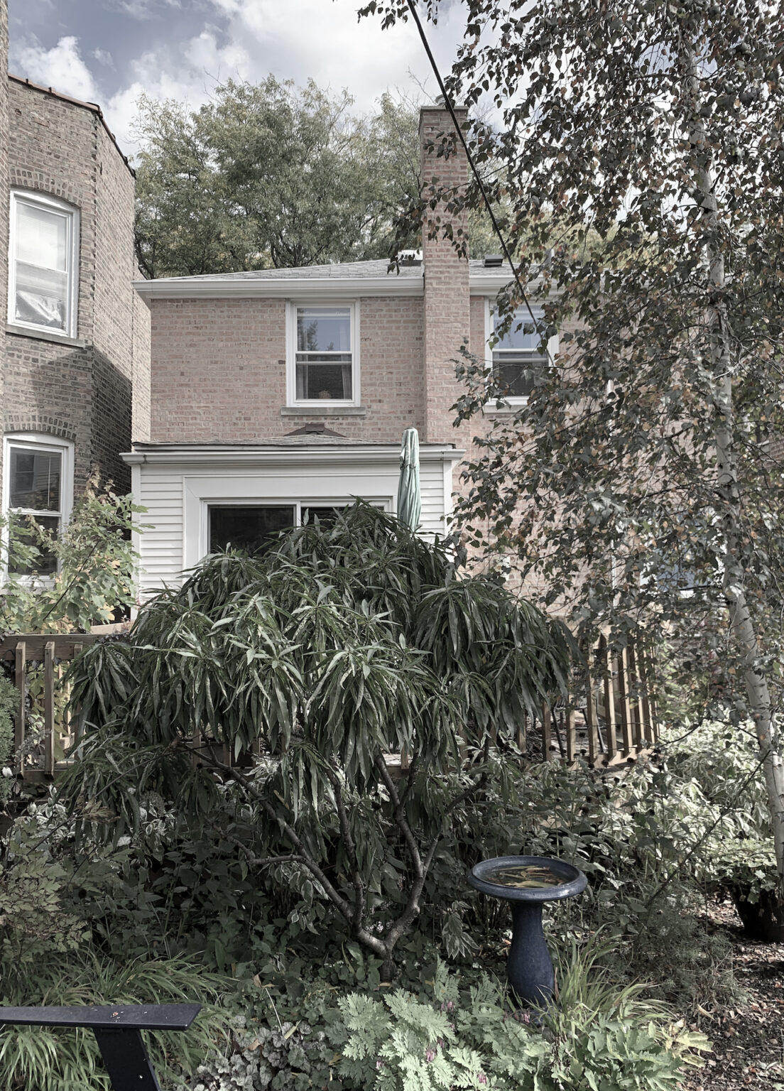 Home Renovation Wrapped in Cedar Siding Preserves Birch Tree - Moss ...