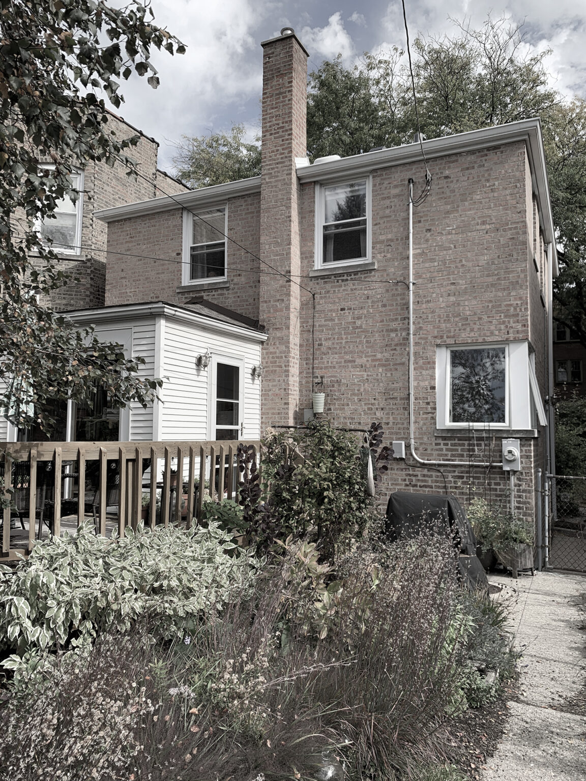 Home Renovation Wrapped in Cedar Siding Preserves Birch Tree - Moss ...