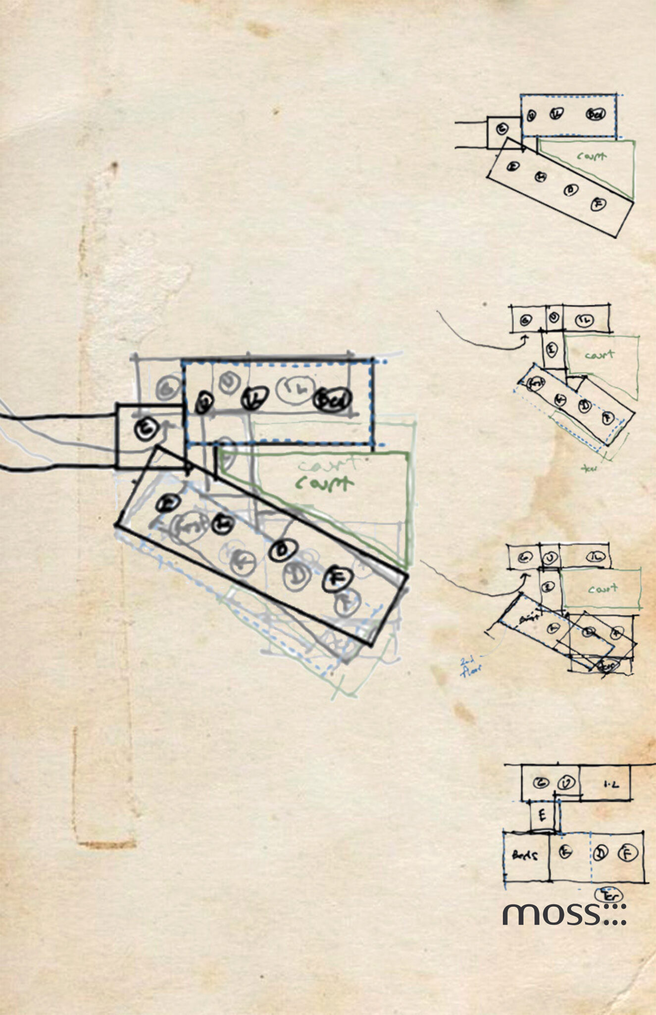 Engawa House: Embracing Nature Through Architecture