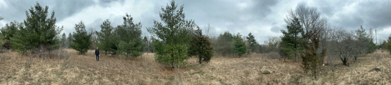 Engawa House: Embracing Nature Through Architecture