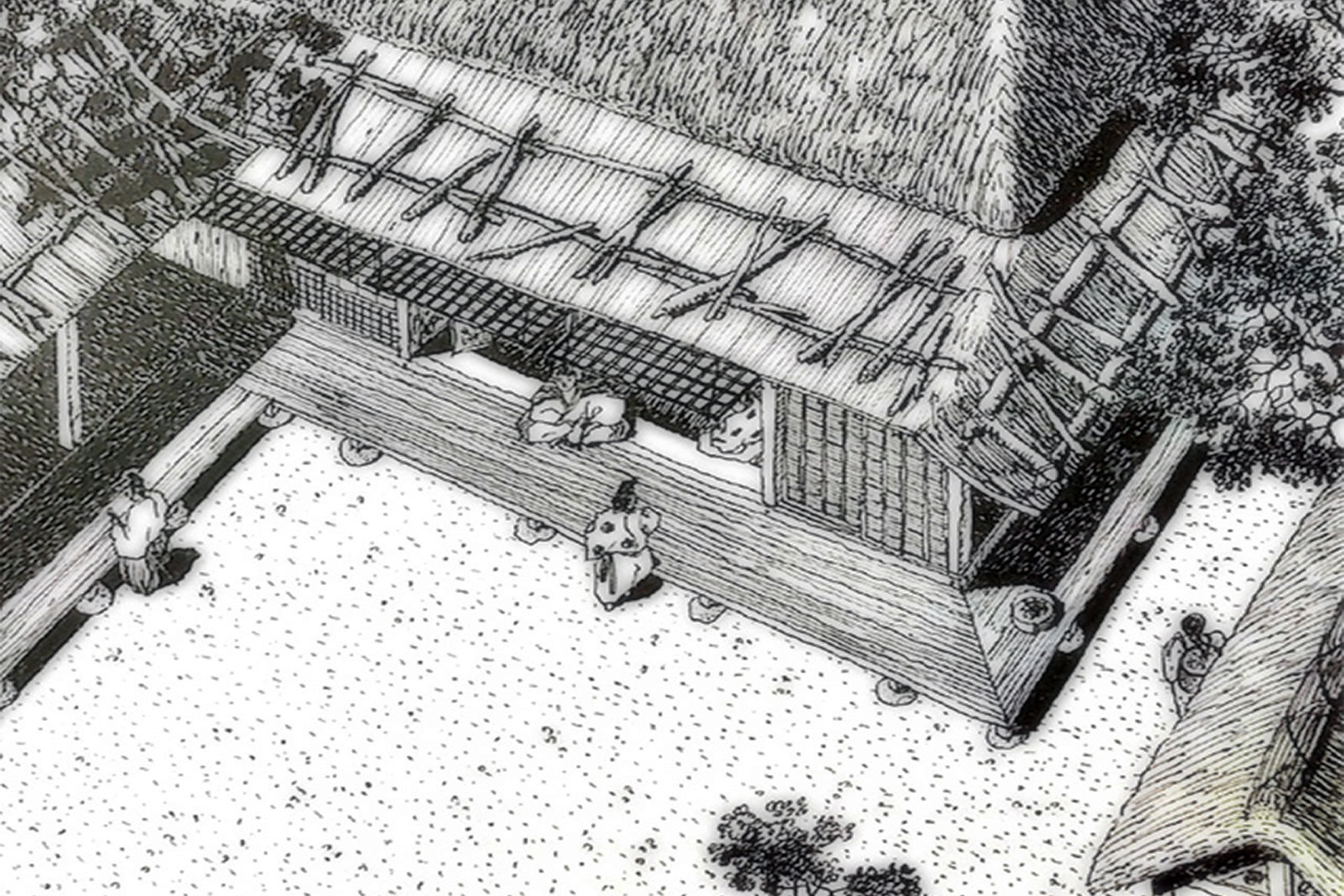 Engawa House: Embracing Nature Through Architecture